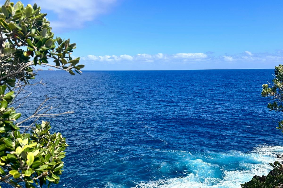Portugal cria Reserva Natural Marinha de Madeira Tore e Banco de Gorringe